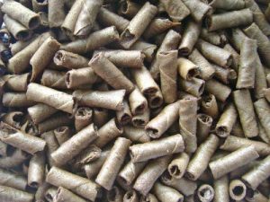 Cara Membuat Roti Astor dengan Mudah dan Ramah di Kanton – My Life My Music